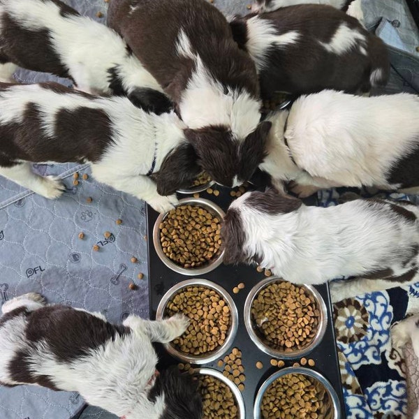 Steel Table Legs With Decorative Metal Scroll Gussets Set of 4 - Etsy