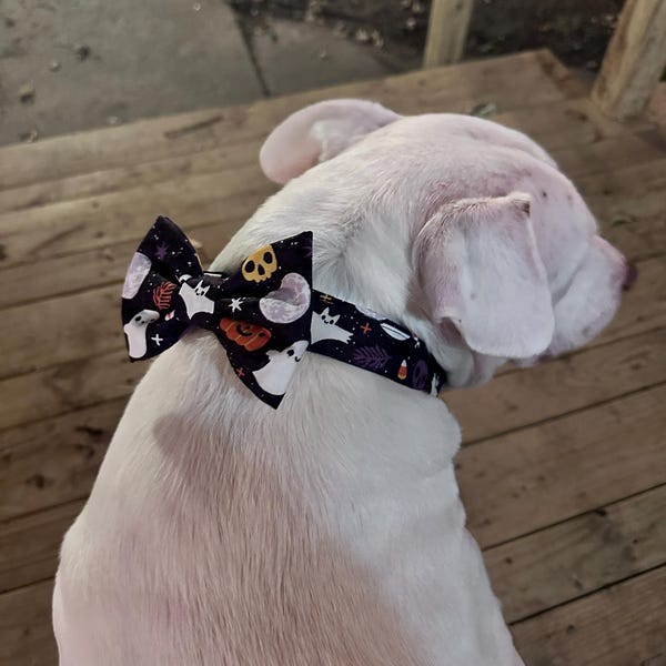 Dog Collar, Nautical Dog Collar, Ocean Dog Collar, Fish Dog Collar ...