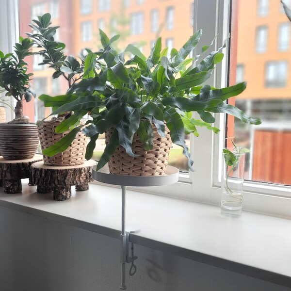Windowsill Clamp Tray for Indoor Plants, Plant Decor, More Space for ...