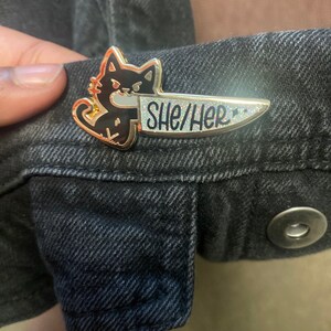 Pronouns Stabby Cats Hard Enamel Pins Be Gay Do Crime LGBT Pronouns Cat ...