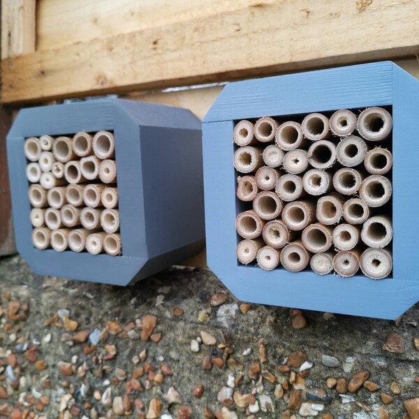 Solitary Bee Hive With Hinged Roof, Perspex Viewing Window and ...
