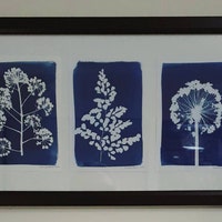 Cyanotype Print - Etsy UK