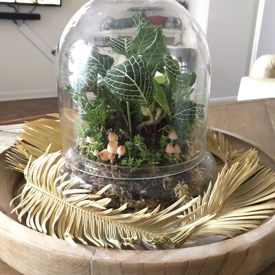 Terrarium Figurines,realistic Translucent Mushroom Terrarium Decoration ...