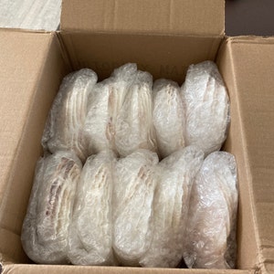 Shell Bits & Pieces Shards Beach Sand Tiny Little Shells for | Etsy