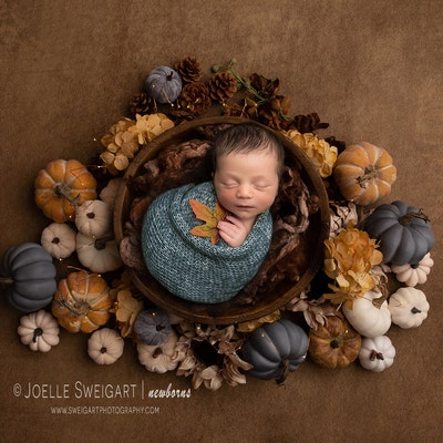 Fall Digital Backdrop, Newborn Baby Digital Backdrops, Digital ...