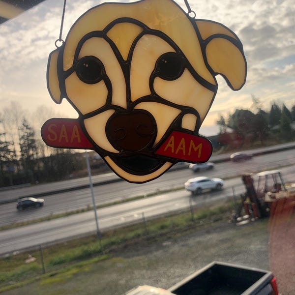 Beveled Air Plant Dangler- Hanging Prism Rainbow Maker! - Stained Glass ...