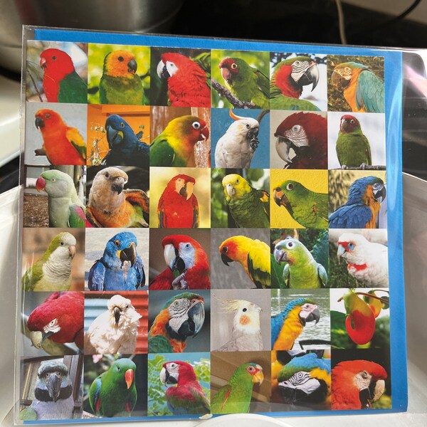 Vintage Buses Card - Etsy UK