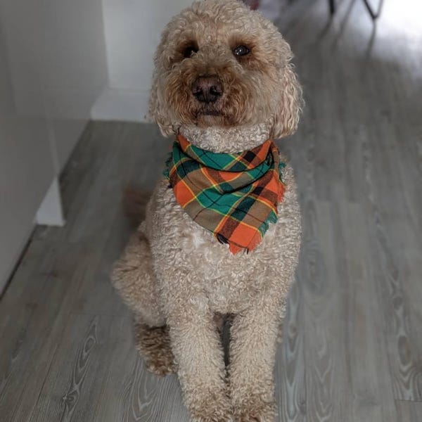 Spiced Honey Leopard Puppy Dog Harness - XS - L - Etsy