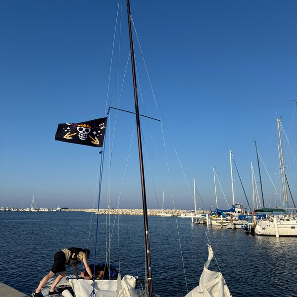 Swamp With Alligator Picture, Louisiana Swamp Wall Hanging, Florida ...