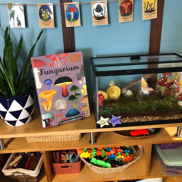 Tree Branch Identification Printable - Etsy