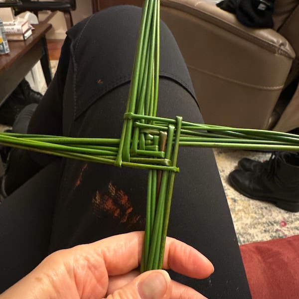 Devil Pod / Bat Nut / Water Caltrop /trapa Bicornis - Protective Amulet ...