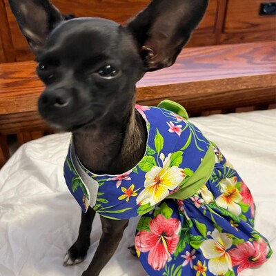 Caduceus Military GI Dog Tags Custom Aluminum Engraved Dog Tags Medical ...