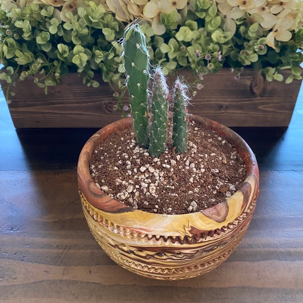 4'' Jade - Etsy