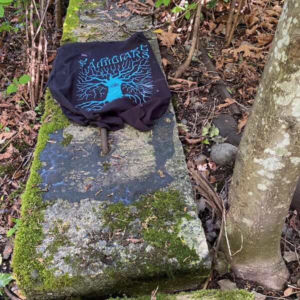 ALBATWITCH on Board - Vinyl Sticker Cryptid Cryptozoology PA Bigfoot ...