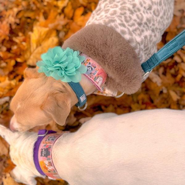 Pink & Purple Patchwork Dog Collar, Unique One of a Kind 1 Inch, 1.5 ...