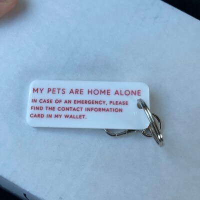 Kid's Info Keychain in Case of Emergency Key Chain, Phone Number ...