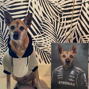 Mercydes, Formula Racing Car, Funny Pet Lover Gift, F1 Driver Team Pet ...