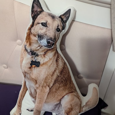 Photo Customization DIY Dog Cushion Pet Plush Toys Dolls Stuffed Animal ...