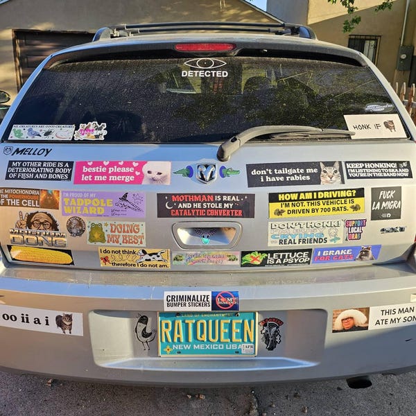 New Driver Pls Be Nice | Cat Meme Car Bumper Sticker | Pink Coquette ...