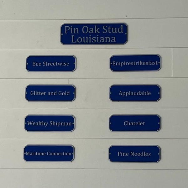 Train Bedroom Door Sign | 17 Colour Options | Boys or Girls Bedroom ...