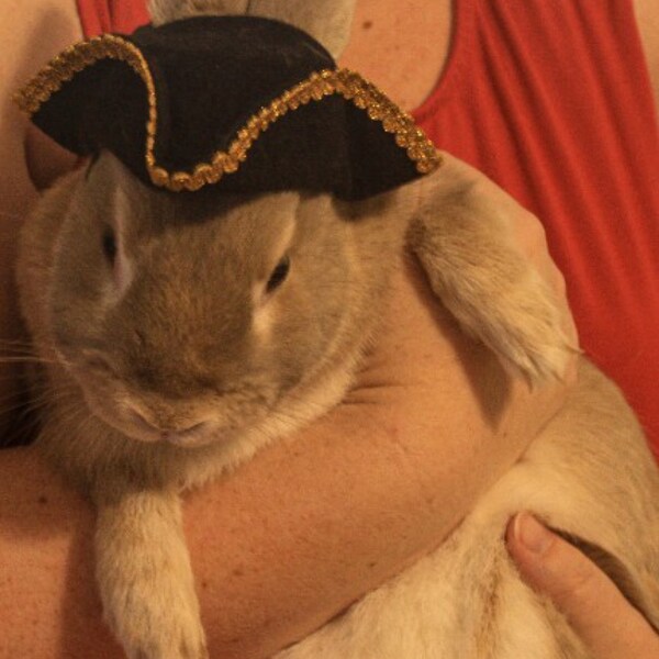 Colonial Tricorn Pirate Hat for Pet Bunny Rabbit and Other Small Pets ...