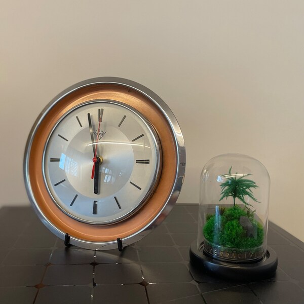 Preserved Moss Terrarium: the Rainforest - Island (S), Minimalist ...