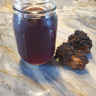 Chaga Mushroom Chunks 1lb Wild-foraged Naturally Dried Maine Chaga ...