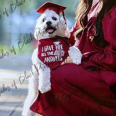 Dog Graduation Cap and Gown Cat Graduation Cap and Gown Pet - Etsy