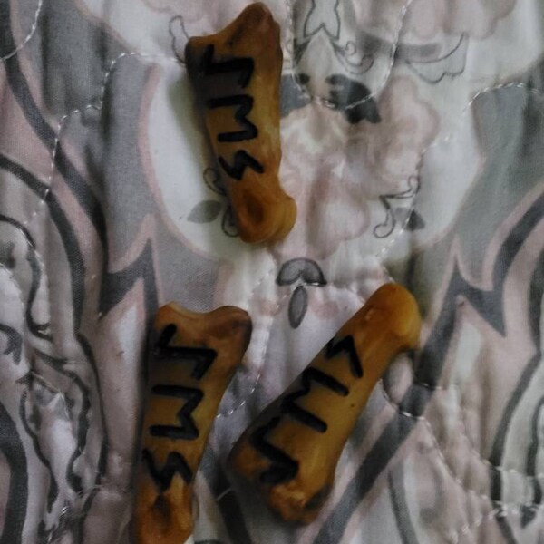 WITCH’S Coffin Oracle Bones - CRONES BONES - Real Bone Fortune Telling ...