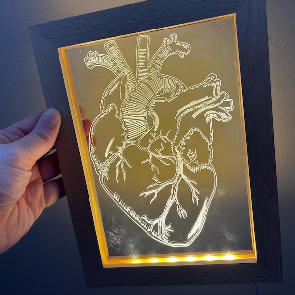 Anatomical Heart Svg, Cardiac Svg, Heart Vector Design, Medical Heart ...