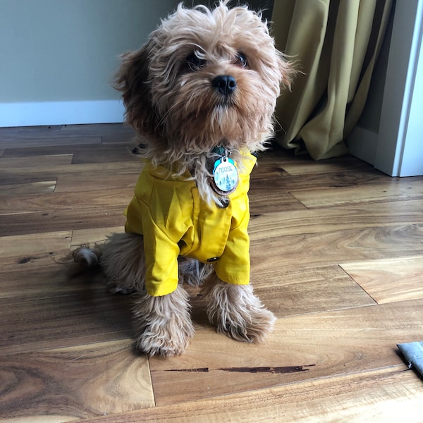 Yellow Raincoat | Waterproof Jacket With Hood for Dogs - Etsy