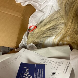 10 to 11 River Cooter Turtle Shell 1077-1011 10UB - Etsy