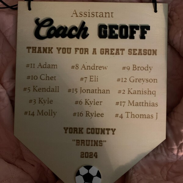 Cat Zone Sign - Pet Sign - Cat Lover Sign - Pet Decor - Cat Lover - Pet ...