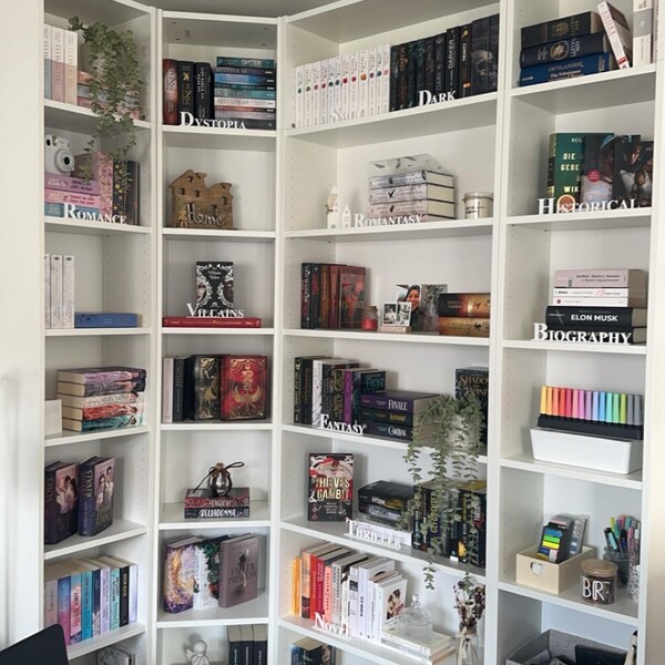 CLASSICS Library Legend Jane Austen Book Swag Book Lover Bookish Gifts ...