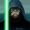 Custom Star Wars Pet Portrait, Luke Skywalker Dog Portrait, Star Wars ...