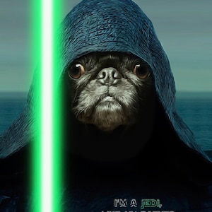 Custom Star Wars Pet Portrait, Luke Skywalker Dog Portrait, Star Wars ...