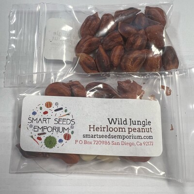 Wild Jungle Peanuts, 15 Seeds, Organic Heirloom, From the Amazon ...