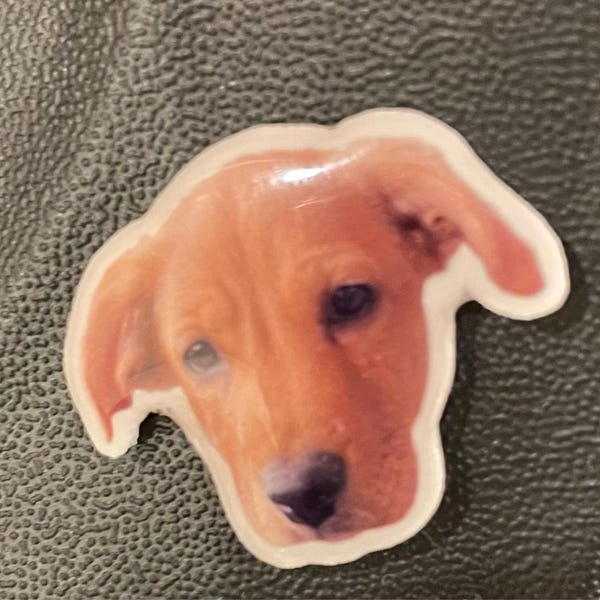 Nike Dunk Low 'panda' Vinyl Sticker - Etsy