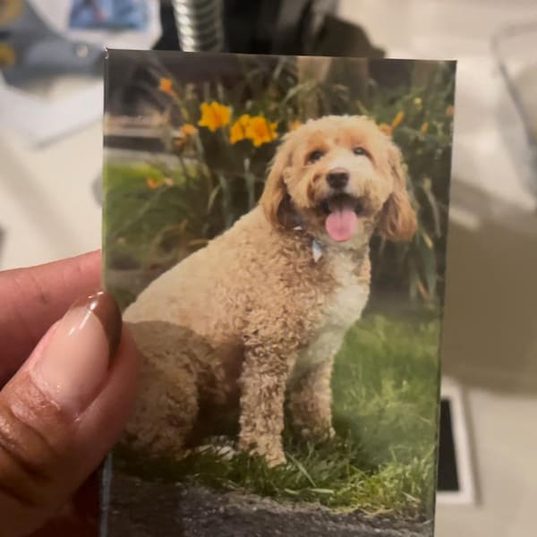 Magnet Maker Machine - Fridge Magnet Maker Ultimate Kit – Complete ...