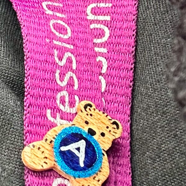 X-ray Bear Pin, Handmade Broken Arm Leg Badge Gift, Personalised ...