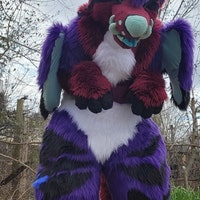 DIGITAL Digitigrade Bodysuit Pattern for Fursuits Sized Medium Female ...