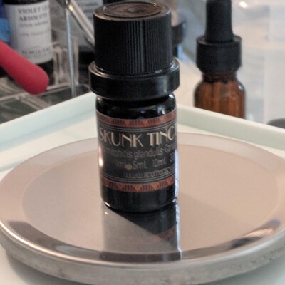 Kauri Copal-borneo Kauri-for Incense-craft and Art-agathis Borneensis ...