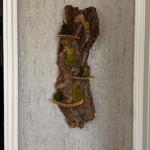 Floating Forest Trio Moss Wall Art, Wall Decor, 3 Cork Bark W ...