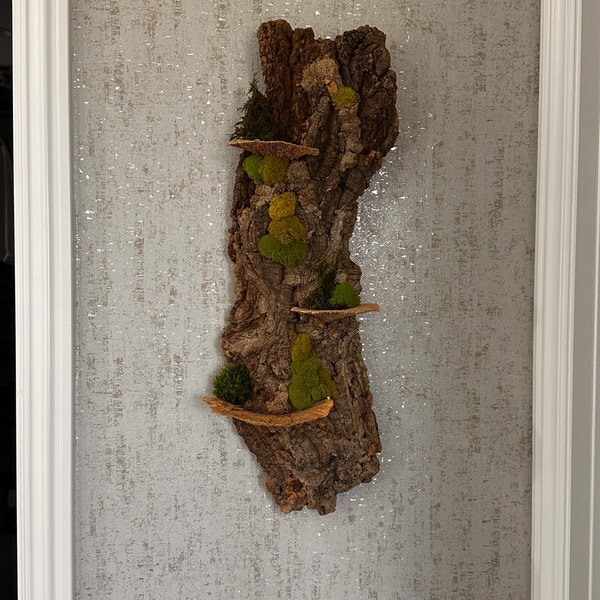 Floating Forest Art Gift, Moss on Cork Bark Natural Wall Decor ...