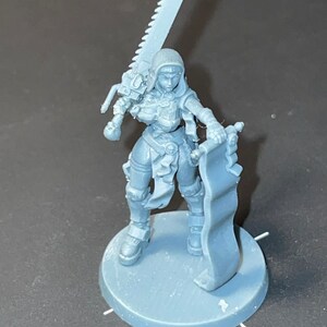 Franke Fan Art Anime 3D Printed Resin Statue Polybits Garage Kit ...