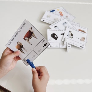 3D Shapes Montessori 3 Part Flash Cards Editable PDF - Etsy