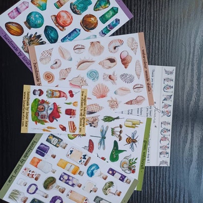 Seaside Shells Sticker Sheet Watercolour Sea Shell Stickers Ocean Beach ...