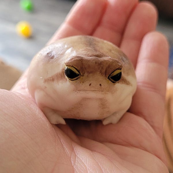 Rainfrog, Rain Frog Squishy, Frog Fidget Toy, Plush Frog Soft Toy - Etsy