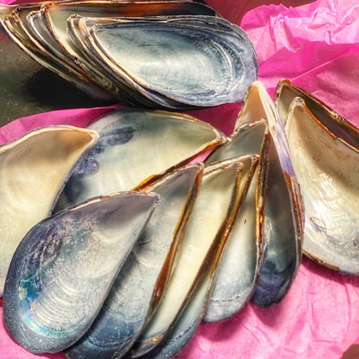 Large Beach Flat Terracotta, Authentic Sea Pottery Shards, Sea Finds - Etsy