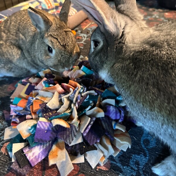 Seagrass Enrichmat™ | Snuffle Mat | Foraging & Enrichment Mat | Well ...